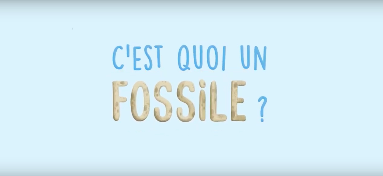 C'est quoi, un fossile ? Une vidéo du magazine Curionautes des sciences ...